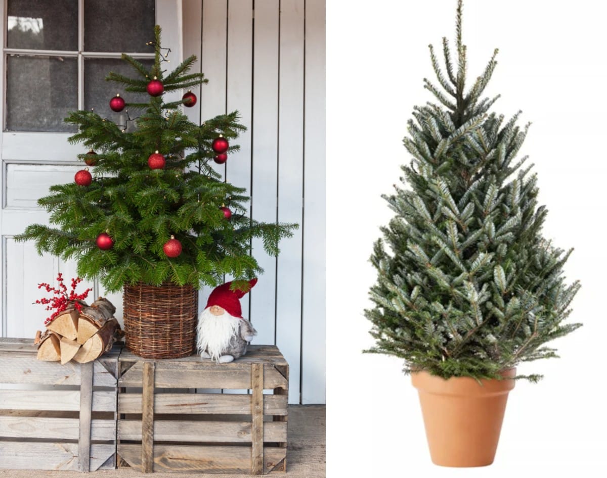 10 bästa små julgranar för små hem – Inredningsvis